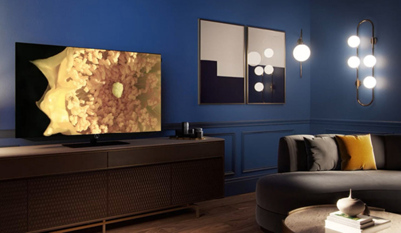 Loewe bild v.65 dr+ hier kaufen | Nubert